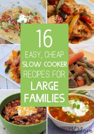 16 Easy, Cheap Slow Cooker Recipes For Large Families