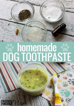 The Best Dog Toothpaste - Easy Homemade Dog Toothpaste Recipe!