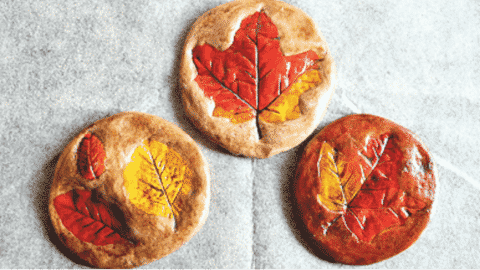 Fall Craft Ideas for Kids (50 Options) - Freebie Finding Mom