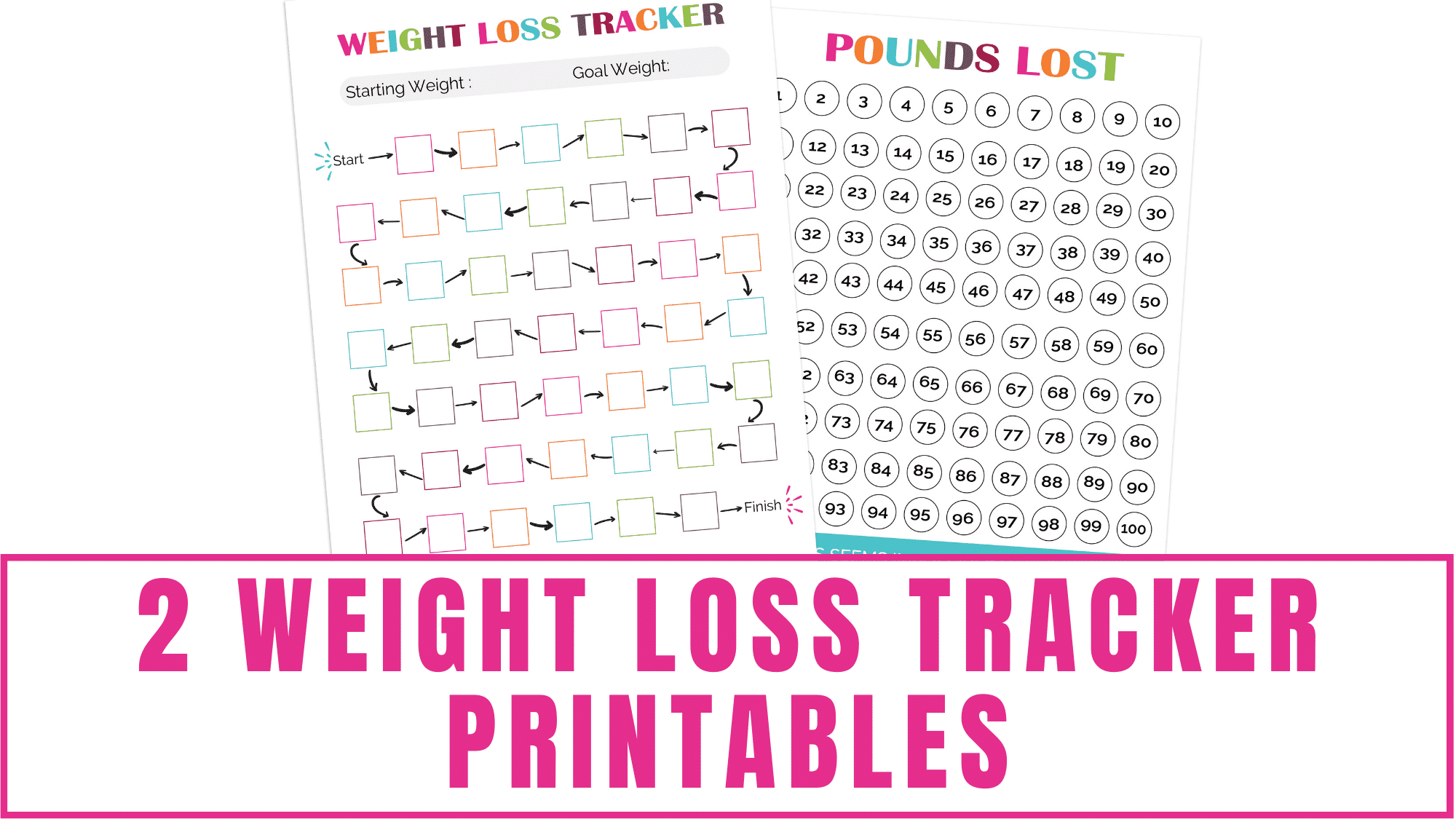 Digital Weight Loss Chart Goal Setting Weight Watchers Slimming Printable Weight Loss Tracker 