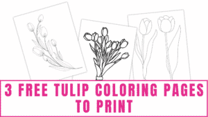 3 Free Tulip Coloring Pages to Print