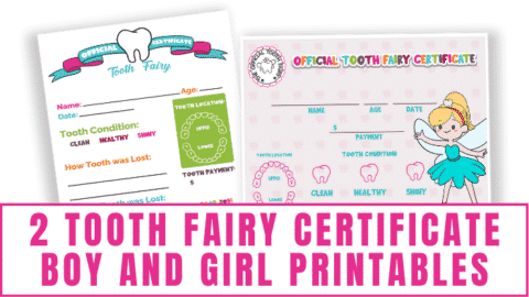 Tooth Fairy Certificate Boy and Girl Printables