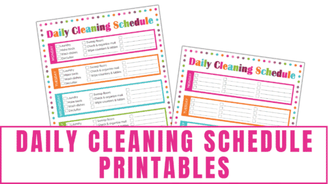 Printable Class Schedule Template (PDF Download)