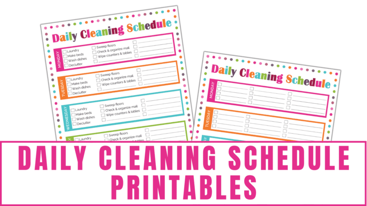 Printable Class Schedule Template (PDF Download)