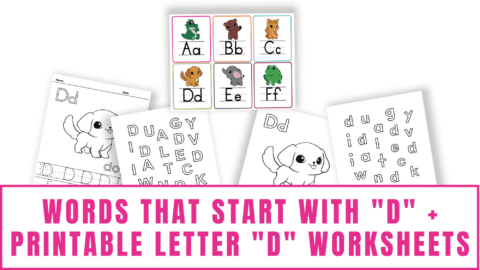Letters of the Alphabet Printable Worksheets: Words that Start with D