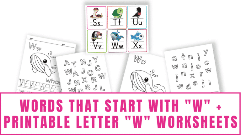 Letters of the Alphabet Printable Worksheets: Words that Start with W