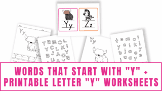 Letters of the Alphabet Printable Worksheets: Words that Start with Y