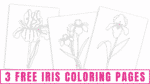 3 Spring Coloring Pages for Kids and Adults - Freebie Finding Mom