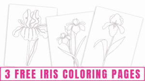 3 Spring Coloring Pages for Kids and Adults - Freebie Finding Mom