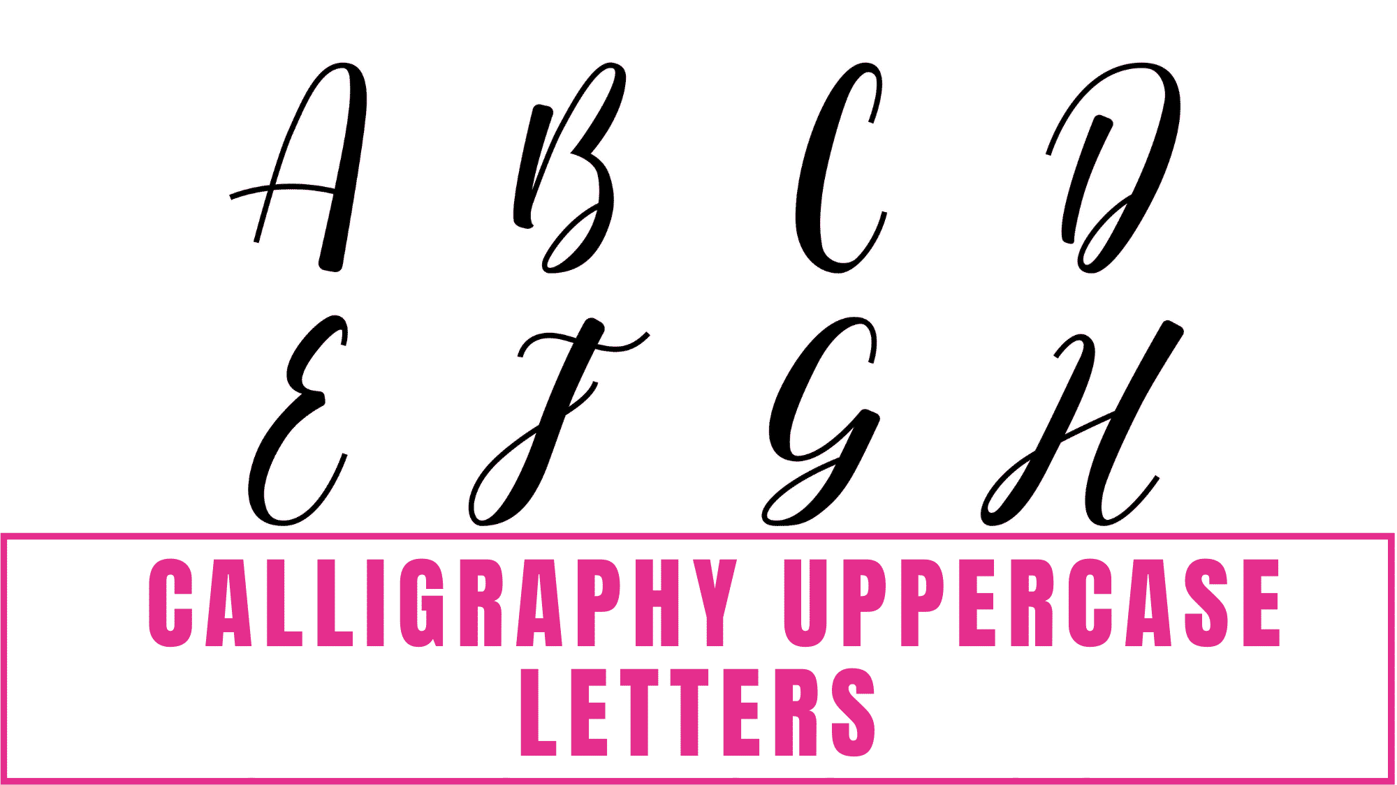 Calligraphy Classes Near Me For Adults
