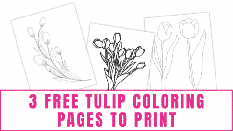 3 Printable Spring Break Coloring Pages (Free PDFs)