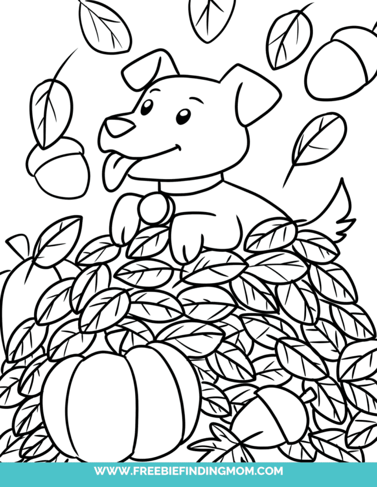 3 Free Printable Cute Fall Coloring Pages