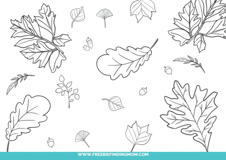 4 Free Printable Fall Leaves Coloring Pages