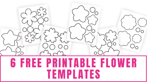 Free Downloadable Stencils: Sunflower