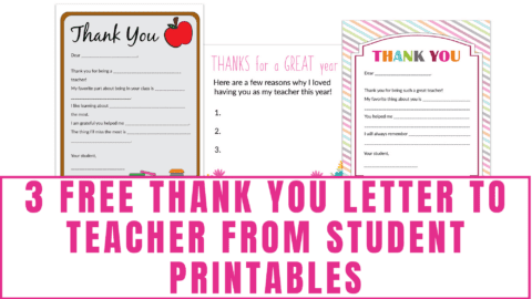 Free Thank You Letter to Teacher from Student Printables