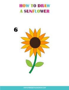 How to Draw a Sunflower: Easy Step-by-Step Instructions