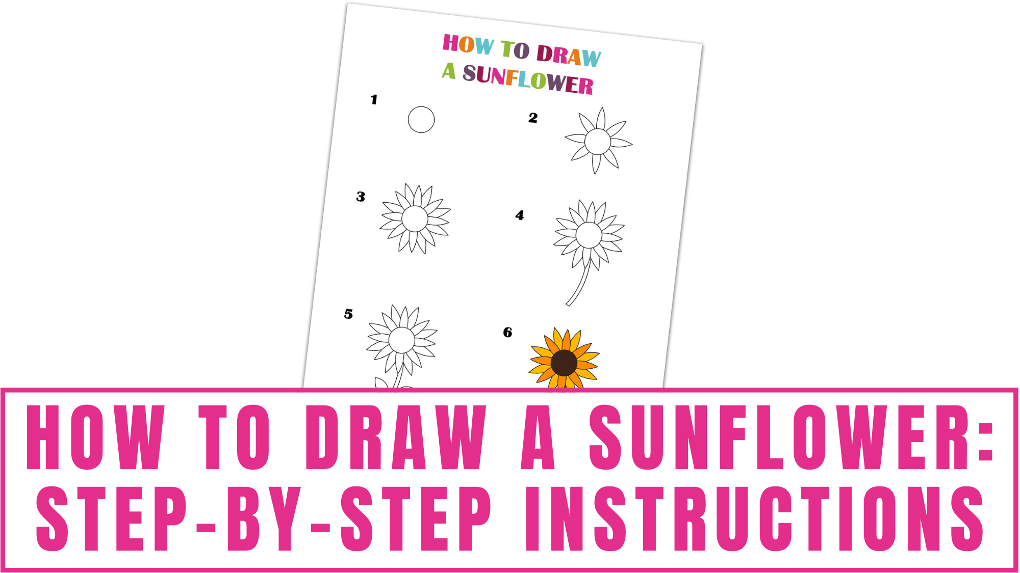 How to Draw a Sunflower: Easy Step-by-Step Instructions