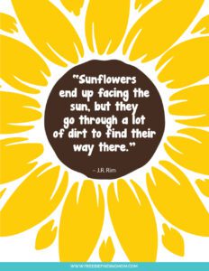 Free Printable Inspirational Quotes About Sunflowers
