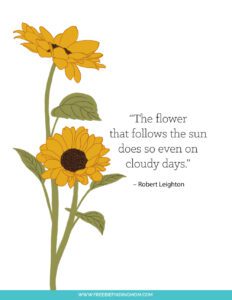 Free Printable Inspirational Quotes About Sunflowers