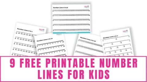 Free Printable Number Line to 100 PDFs