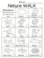 Free Nature Walk Scavenger Hunt Printable